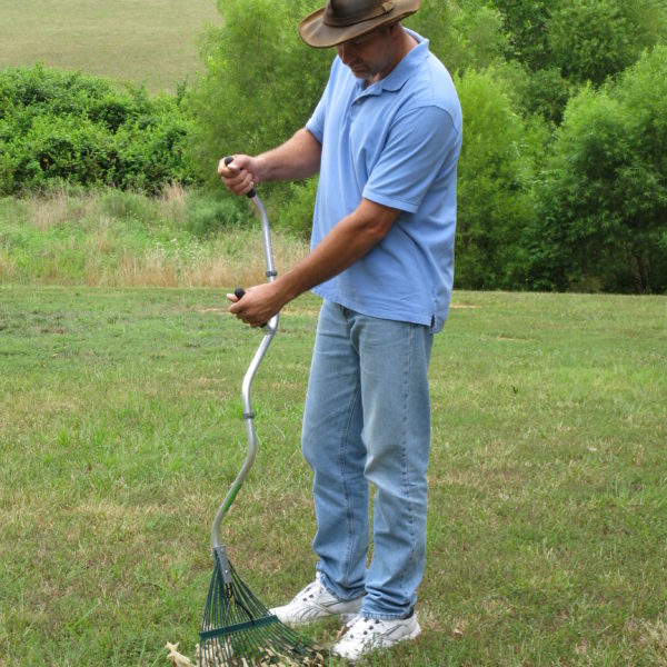 Snake Rake - Snake Rake